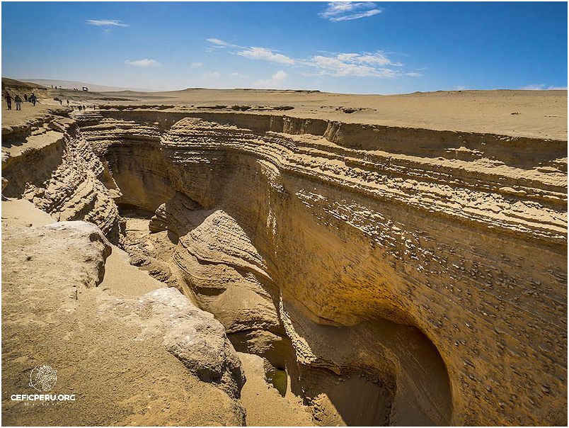 ¡Descubre Los Secretos Del Tren Del Sur De Perú! - September 2025 ...