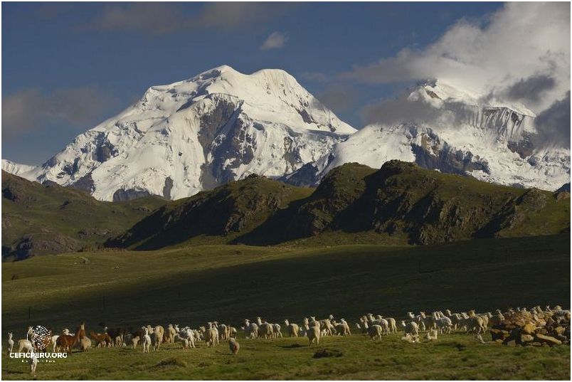 ¿El Peru O Peru? Descubre La Verdad. - October 2025 - CeficPeru.org